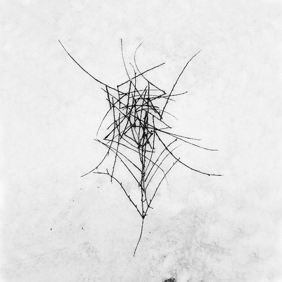 Dead Raven Choir - Schmerzensgewalt (CD), Dead Raven Choir | CD (album ...