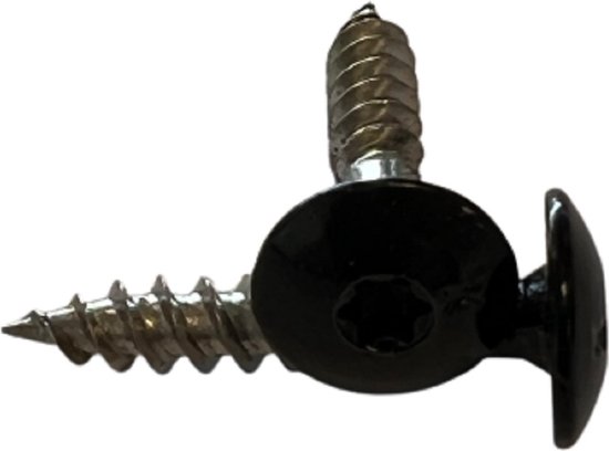 Trespa-color-schroef RVS 4,8mm x 25mm zwart RAL9005 (100 stuks + gratis ...