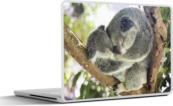 Laptop sticker - 14 inch - Koala's - Knuffel - Dieren - Kids - Jongens ...