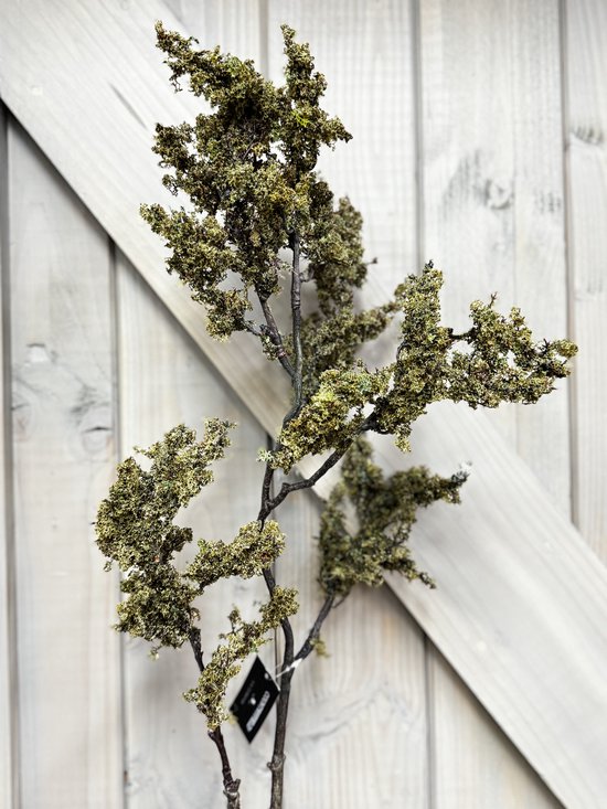 Decostar - Kunsttak - Zijdetak - Spirea - Groen | bol