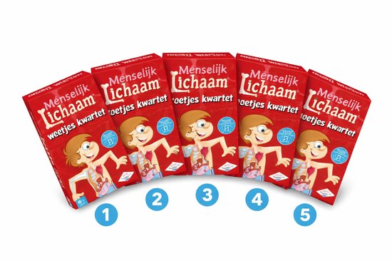 Het Menselijk Lichaam - Weetjes Kinder Kwartet - 5-pack - Klein ...