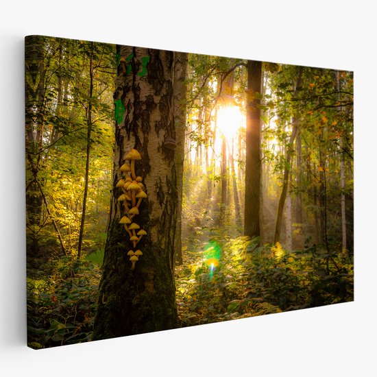 Artsens Canvas Schilderij Bomen Met Paddestoelen In Het Bos - 150x100 ...