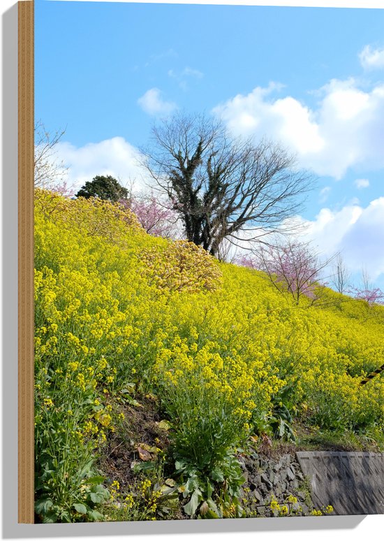 WallClassics - Hout - Begroeiing op Dijk met Boom - 40x60 cm - 12 mm ...