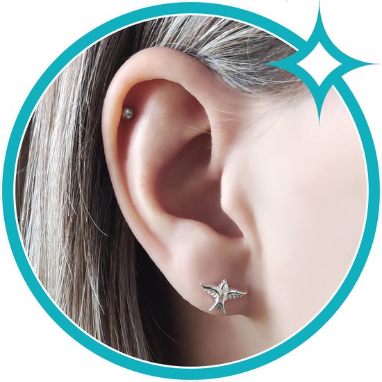 EAR IT UP - Oorbellen - Zwaluw - Vogel - Push back oorknopjes - 925 ...