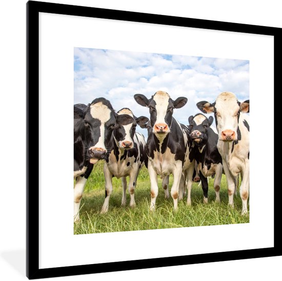 Cadre photo - Vache - Animaux - Nature - Herbe - Vaches - Affiche ...