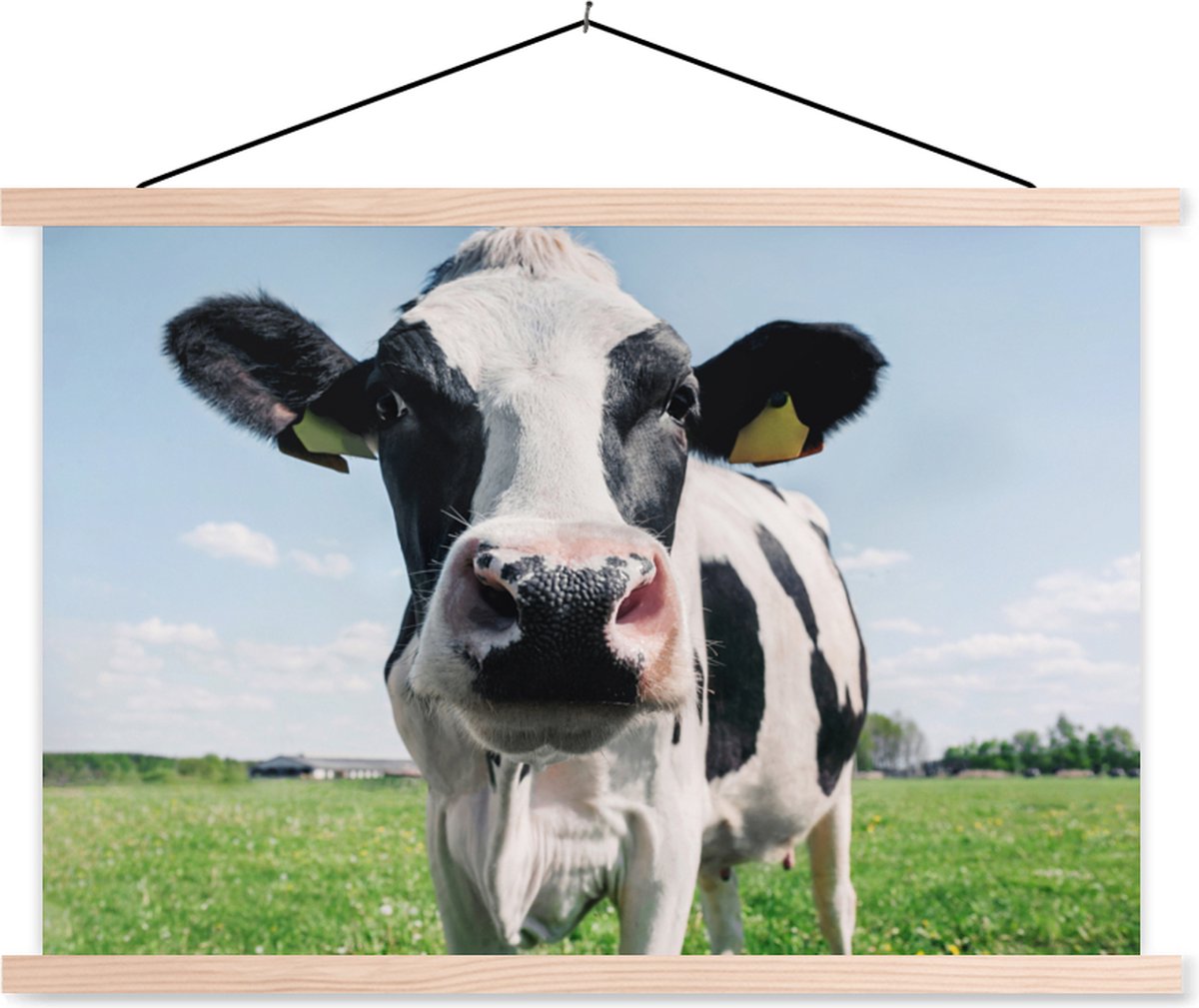 Porte-affiche avec affiche - Affiche scolaire - Vache - Pâturage ...