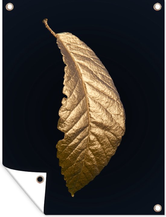 Tuin decoratie Bladeren - Luxe - Goud - Zwart - Natuur - 30x40 cm ...