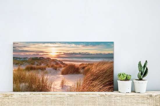 Wanddecoratie Metaal - Aluminium Schilderij Industrieel - Duin - Planten -... | bol