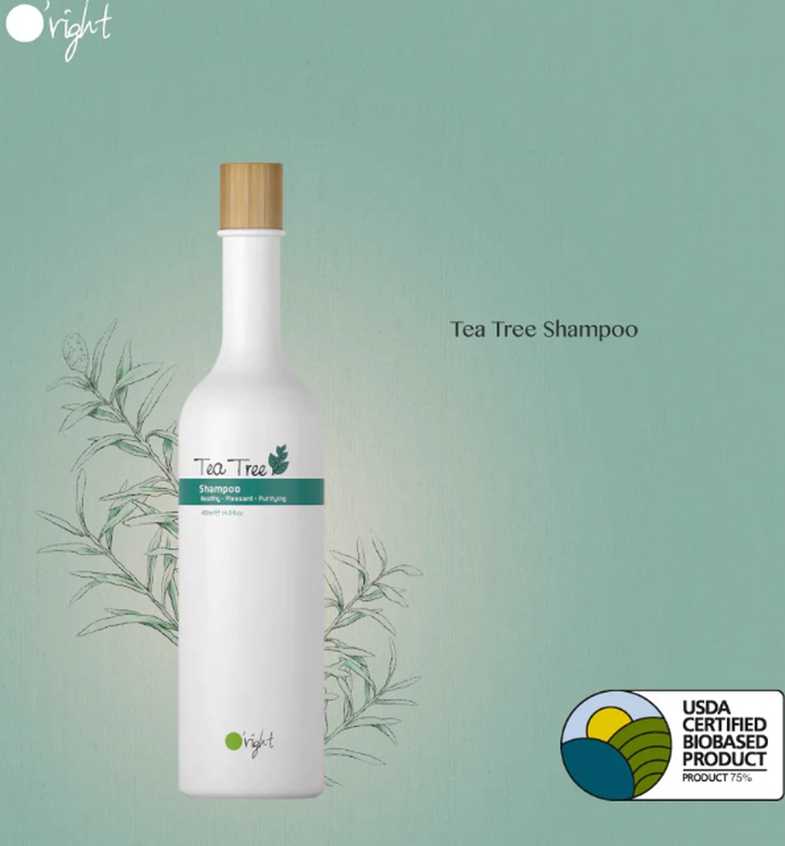 O'right Tea Tree Shampoo 400ml | Anti roos | bol.com
