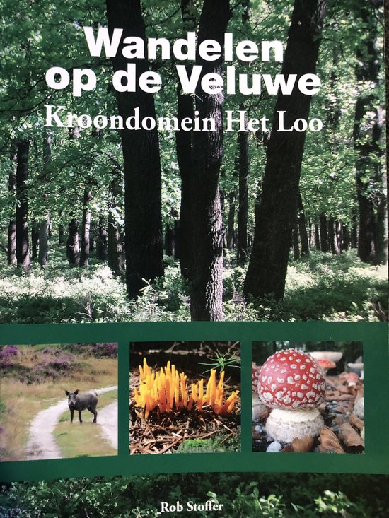 Wandelen op de Veluwe, R. Stoffer | 9789087880873 | Boeken | bol