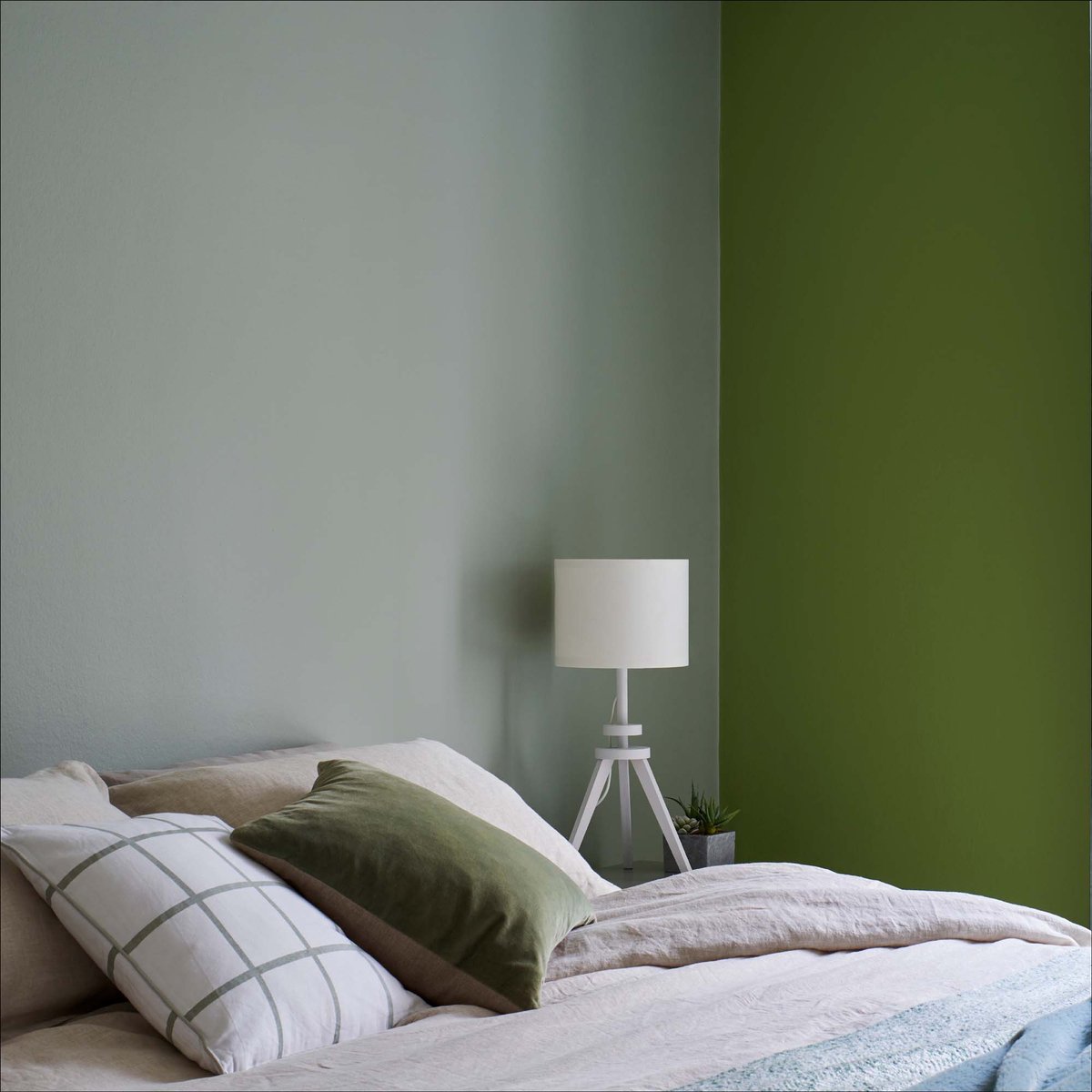 Rust-Oleum Groen Chalky Finish Muurverf - Familiar Ground 2,5L | bol.com