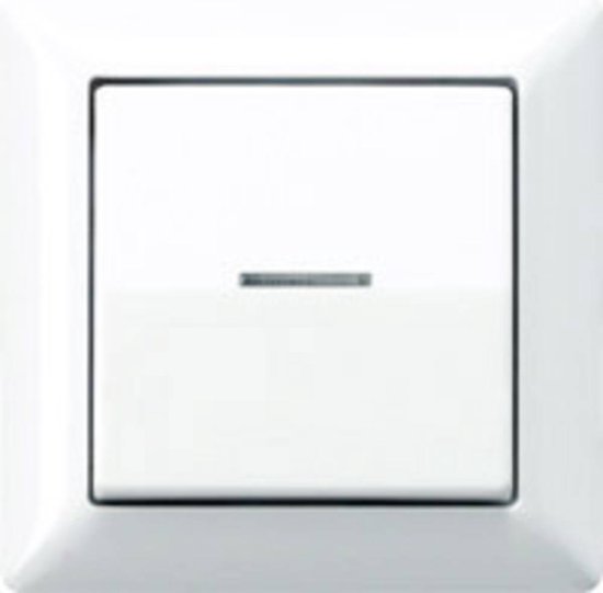 Jung AS500 Schakelelement/Centrale Plaat - AS590KO5WW - E32QT | bol.com