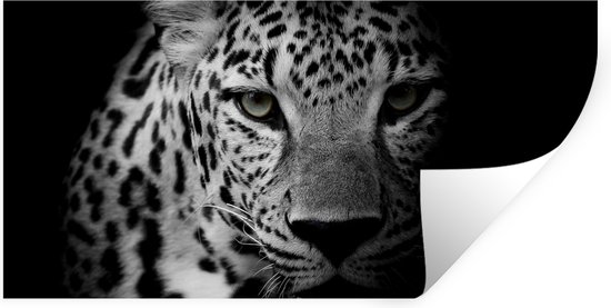 Muurstickers - Sticker Folie - Dieren - Zwart - Wit - Panter - Portret - 120x60 cm -... | bol