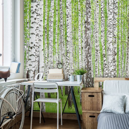 Fotobehang - Vlies Behang - Bos - Berkenbos - Bomen - 368 x 254 cm | bol