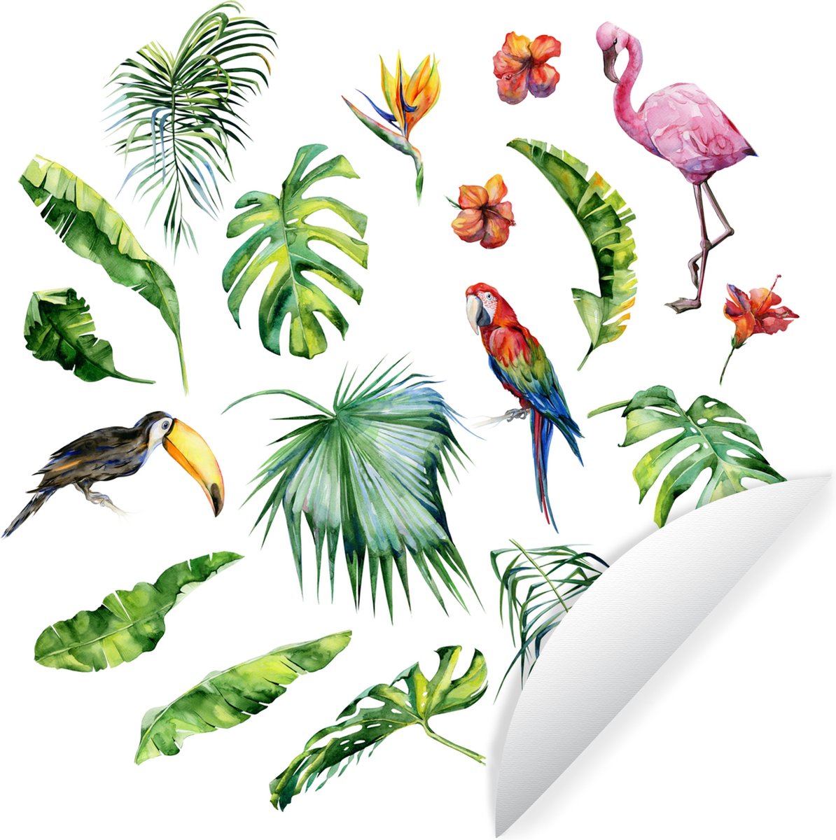 WallCircle - Muurstickers - Behangcirkel - Jungle - Patroon - Dieren - Bladeren -... | bol.