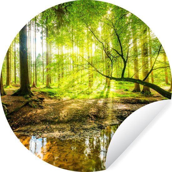 MuchoWow - Behangcirkel - Zelfklevend behang - Bos - Zon - Rivier ...