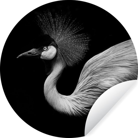 WallCircle - Behangcirkel - Zelfklevend behang - Kraanvogel - Dier - Savanne - Natuur... | bol.com