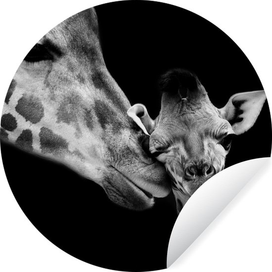 WallCircle - Behangcirkel - Zelfklevend behang - Wilde dieren - Giraffe - Familie -... | bol