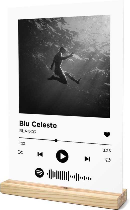 Songr Spotify Plaat - Blu Celeste - BLANCO - 20x30 - Wit - Dibond ...