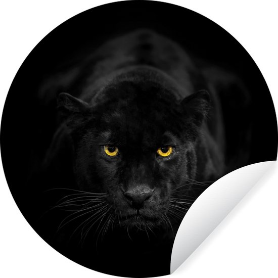 WallCircle - Muurstickers - Behangcirkel - Panter - Zwart - Geel - 50x50 cm -... | bol