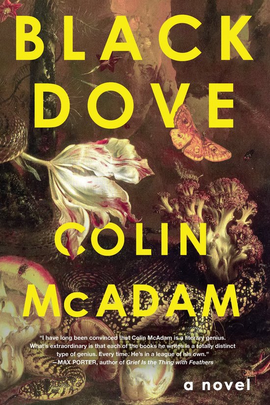Black Dove (ebook), Colin Mcadam | 9781641294232 | Boeken | bol