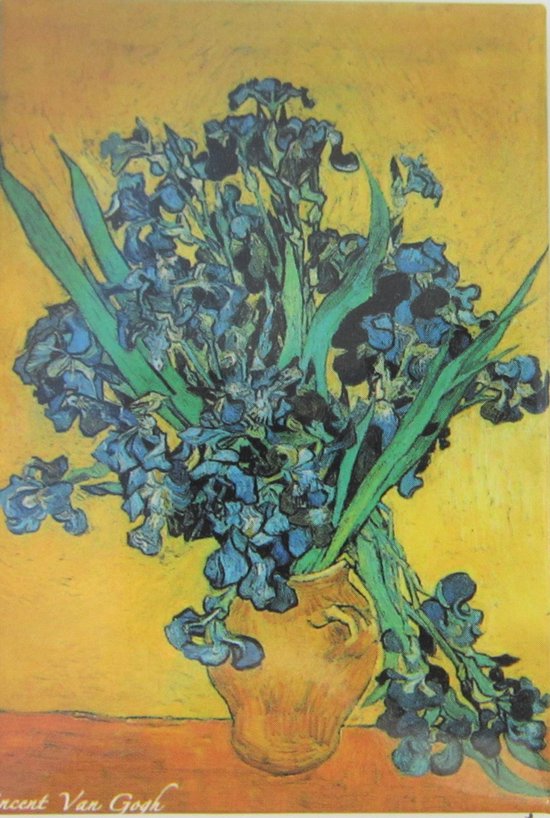 koelkast magneet Vincent van Gogh vaas irissen | bol