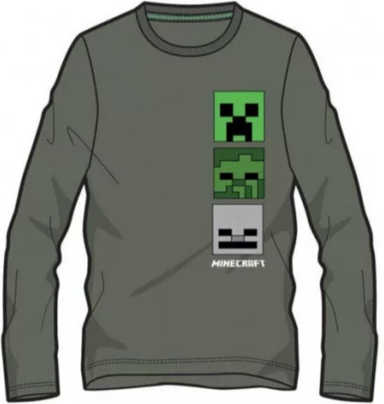 Minecraft T-shirt Lange Mouw - Maat 140 - 10 Jaar | bol.com