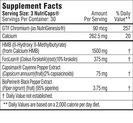 BURN LAB PRO - Optimaliseert Vetverlies + Trainingssynergie met de ...