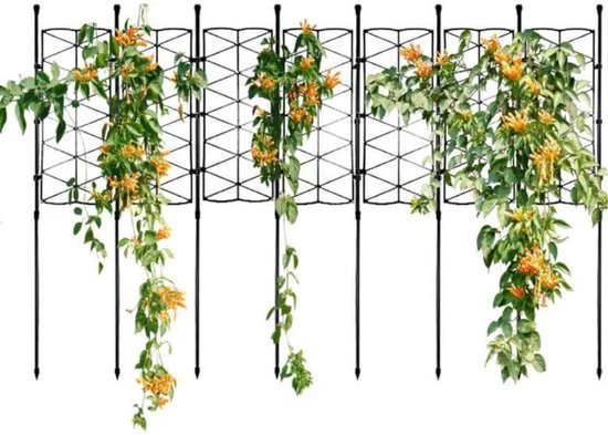Klimrek Planten - Klimplantgeleider Voor Buiten - Klimplantenrek Breed ...