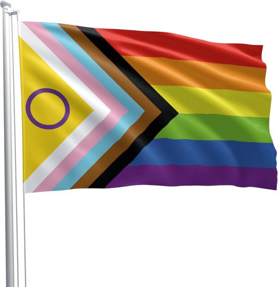 LGBTQ vlag - Pride vlag - Pride flag - Regenboog vlag - Progress | bol
