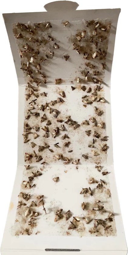 Mottenval 6 stuks | bol