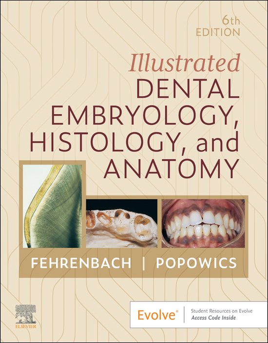 Illustrated Dental Embryology, Histology, and Anatomy E-Book (ebook ...