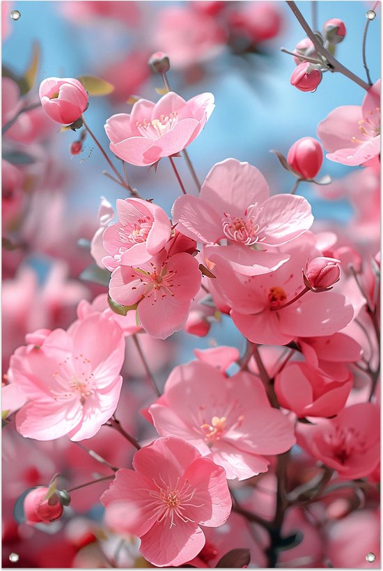 Bloemen posters - Natuur tuinposter - Tuinposter Knoppen ...