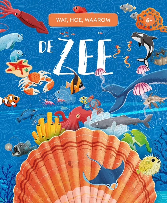 Wat, hoe, waarom - De Zee, Giuali Pesavento | 9789036644853 | Boeken | bol