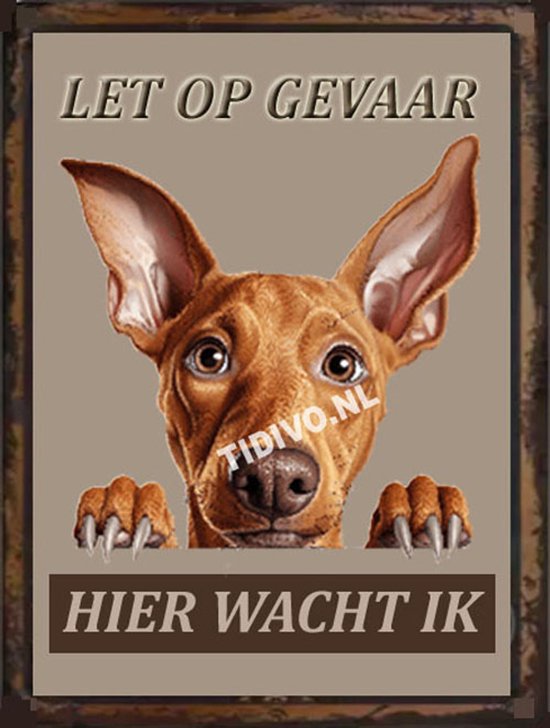 Pharaohond 18 - Met 4 Gaatjes + 4 Pluggen + 4 RVS Schroeven | bol