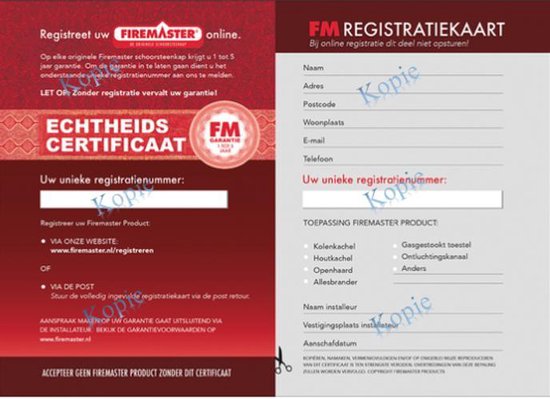 Schoorsteenkap Firemaster Deluxe RVS | bol.com