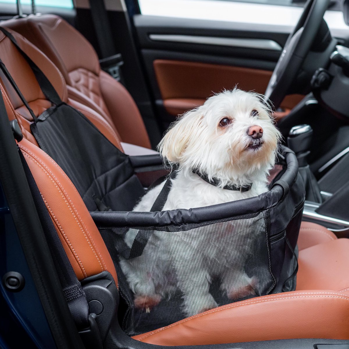 Zwarte Auto Hondenmand met GRATIS Autogordel Hondenriem | Automand ...
