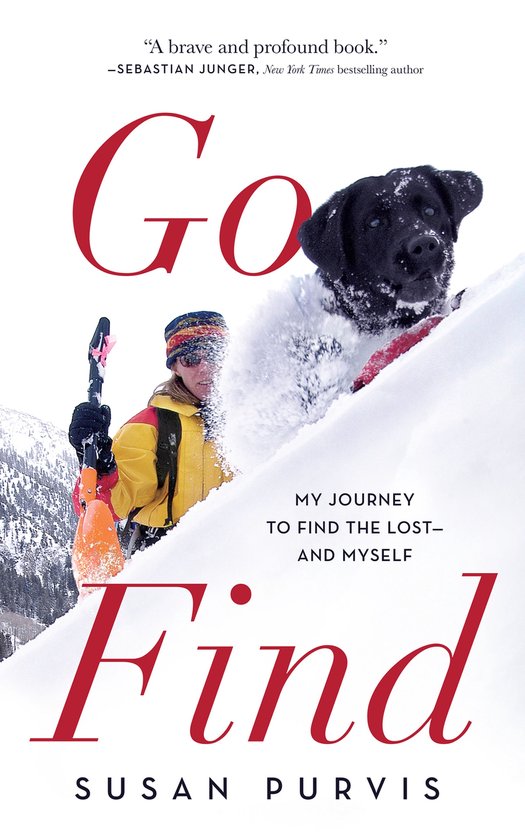 Go Find (ebook), Susan Purvis | 9781538460221 | Boeken | bol.com