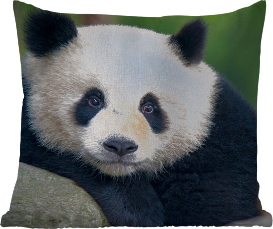 Buitenkussen - Panda - Wilde dieren - Portret - Steen - 45x45 cm ...