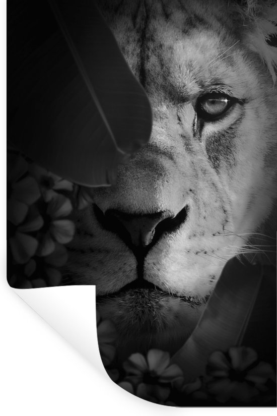 Muurstickers - Sticker Folie - Close-up van een leeuw in de jungle - zwart wit -... | bol