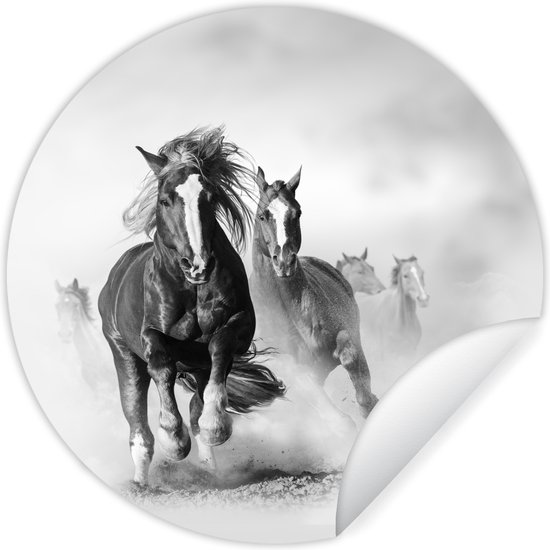 WallCircle - Muurstickers - Behangcirkel - Paarden - Dieren - Illustratie - ⌀ 30 cm -... | bol