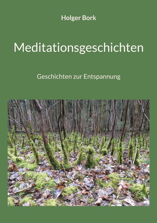 Meditationsgeschichten (ebook), Holger Bork | 9783758345685 | Boeken | bol