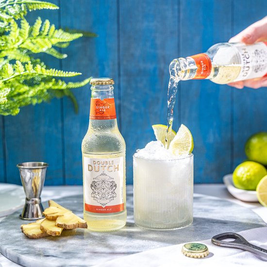 Double Dutch Ginger Ale 24 x 200ml | bol