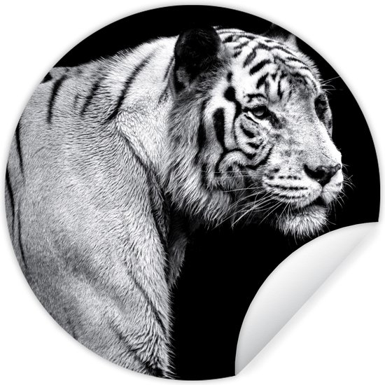 WallCircle - Muurstickers - Behangcirkel - Tijger - Wilde dieren - Licht - ⌀ 30 cm -... | bol