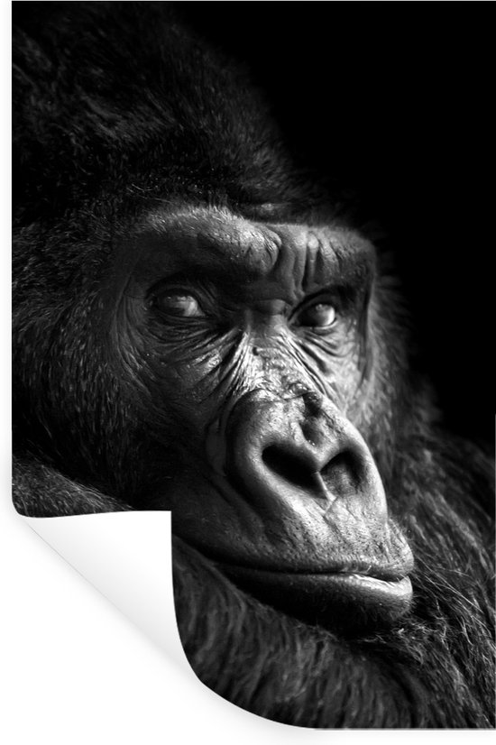 Muurstickers - Sticker Folie - Gorilla - Aap - Zwart - Wit - Portret - 20x30 cm -... | bol