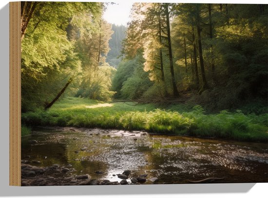 Hout - Bos - Natuur - Water - Beekje - Stenen - Bomen - 40x30 cm - 9 mm ...