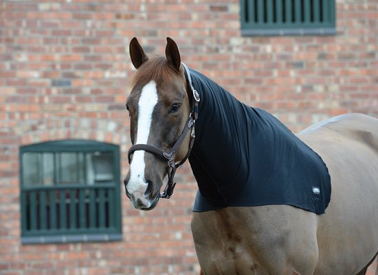 Weatherbeeta Weatherbeeta Stretch Neck Rug Zwart | bol