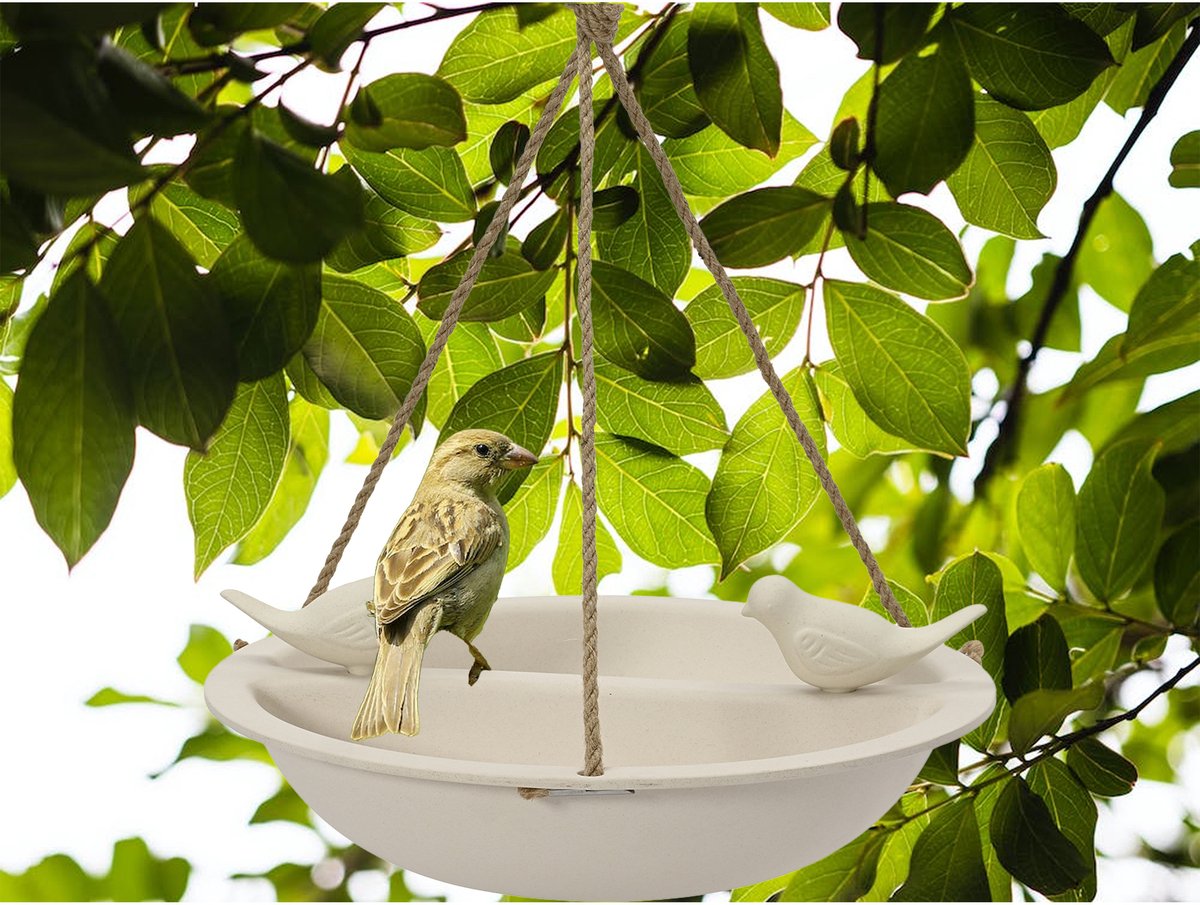 Decoris Vogelbad/drinkschaal - bamboe hout - wit - D27 cm - voederbak | bol