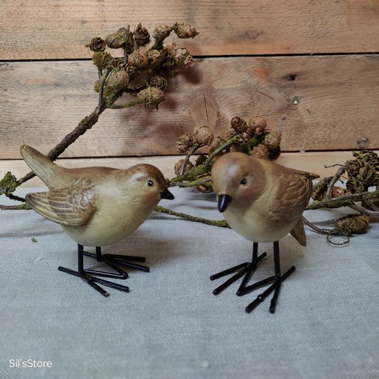 set van 2 musjes - polystone - staal - Van Manen - vogels | bol