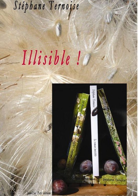 Illisible ! (ebook), Stephane Ternoise | 9782365416962 | Boeken | bol.com